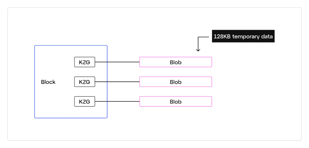 Nâng Cấp Dencun Ethereum: Từ Proto-DankSharding Đến Tương Lai Mở Rộng - Coinlist